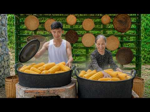 Bountiful Corn Harvest. Grandma Surprised as Dương Boils Corn to Sell | Self-Sufficient Life