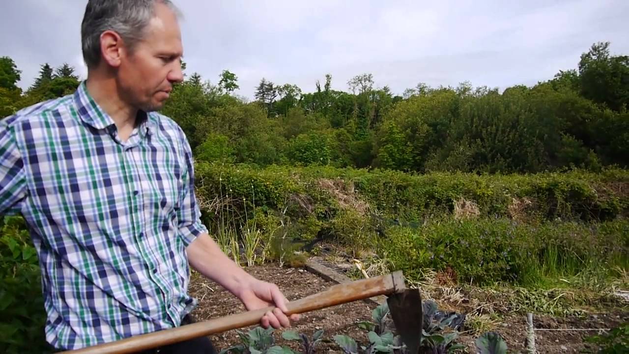 Using the Ridging Hoe - YouTube