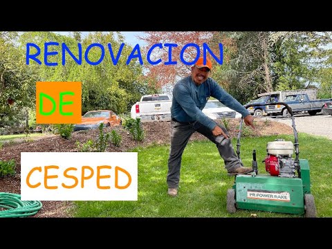 RENOVACION DE CESPED ANTES Y DESPUES - YouTube