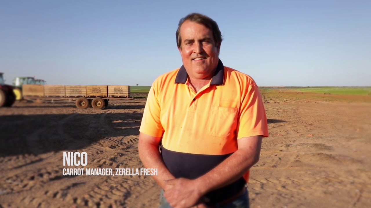 Zerella Fresh skilled migrants - YouTube