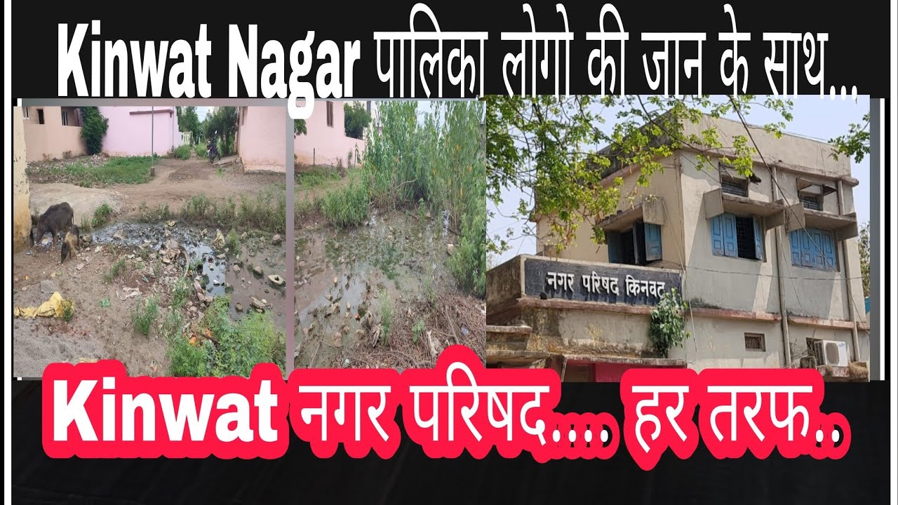 #Kinwat #किनवट के सुभाष नगर के पानी के टाकी के पास गंदगी का साम्राज्य ...