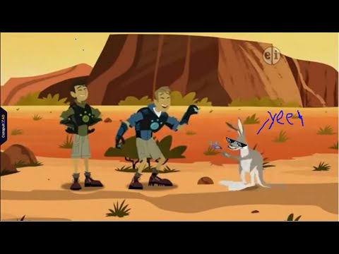 Wild Kratts WTH Moments (S2 Ep8) Kickin' it with the roos - YouTube