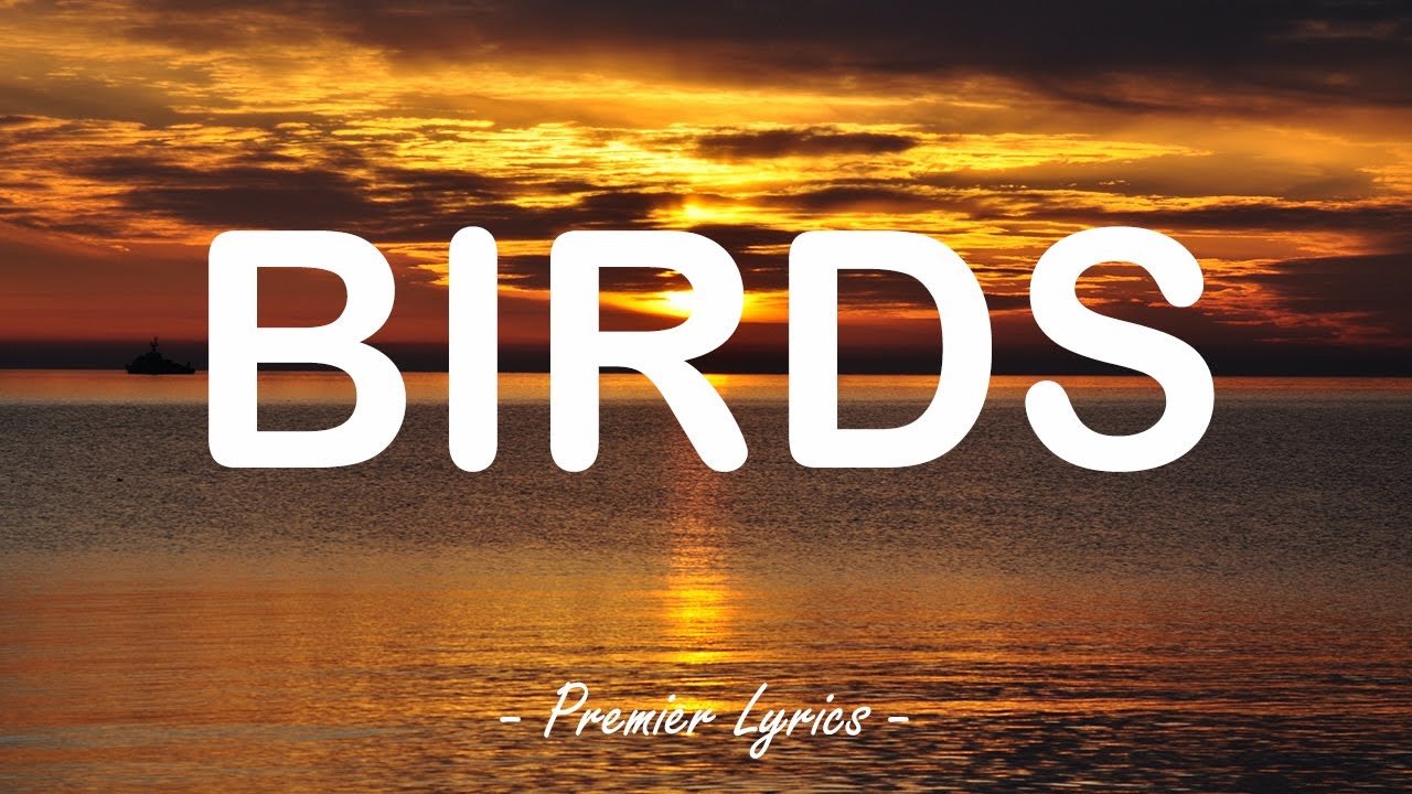 Birds - Imagine Dragons (Lyrics) 🎶 - YouTube