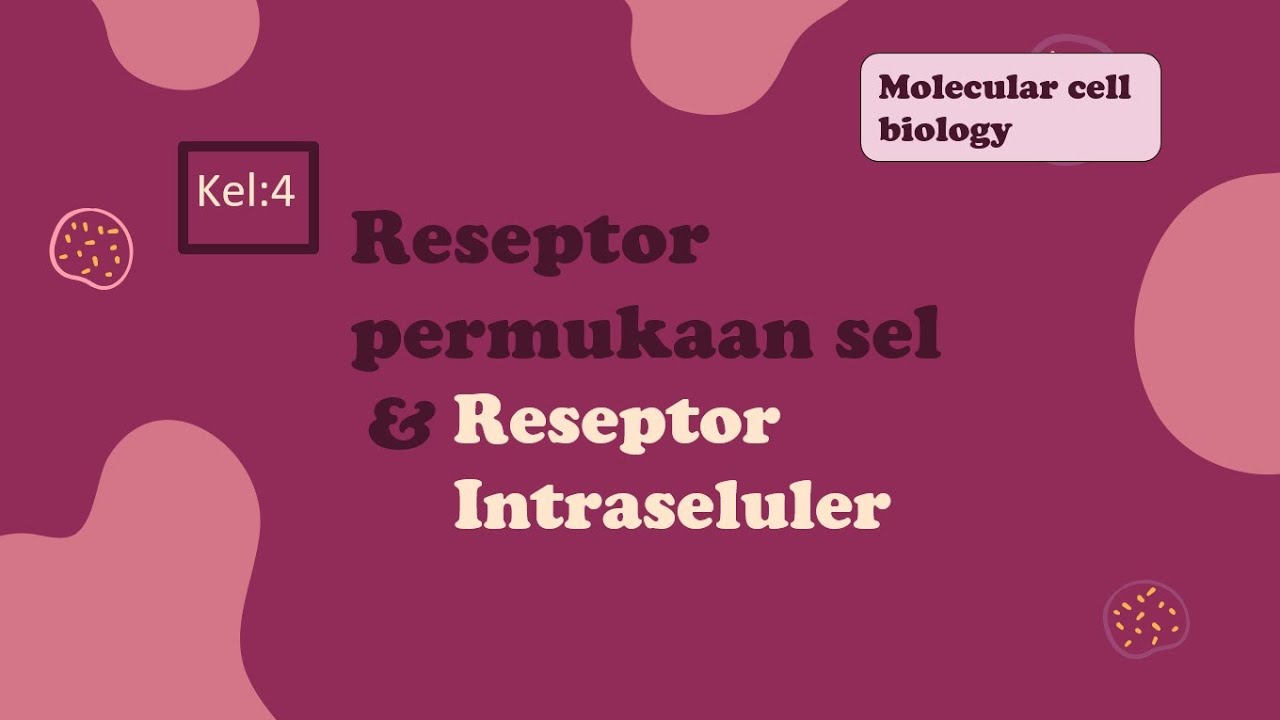 Reseptor Permukaan Sel & Reseptor Intraseluler - YouTube