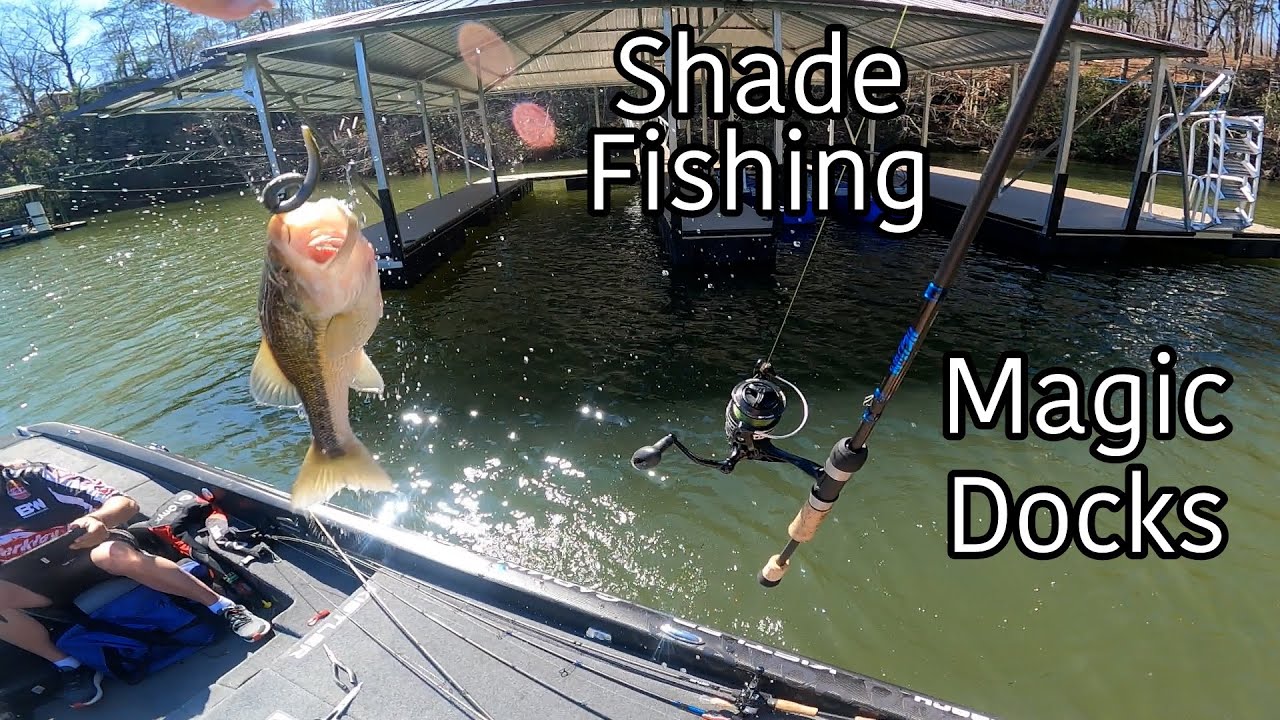 Catching Suspended Fish On DEEP Docks. MLF BPT Stage 3 Smith Lake - YouTube