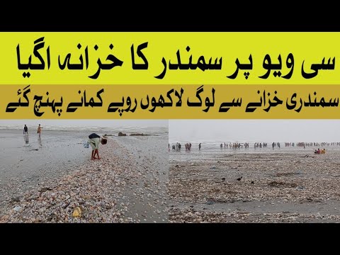 Sea View Karachi Treasure ln Sea People Crazy For Collect Sea Shells ...