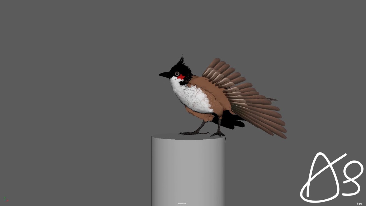 Completed Bird Animation - YouTube