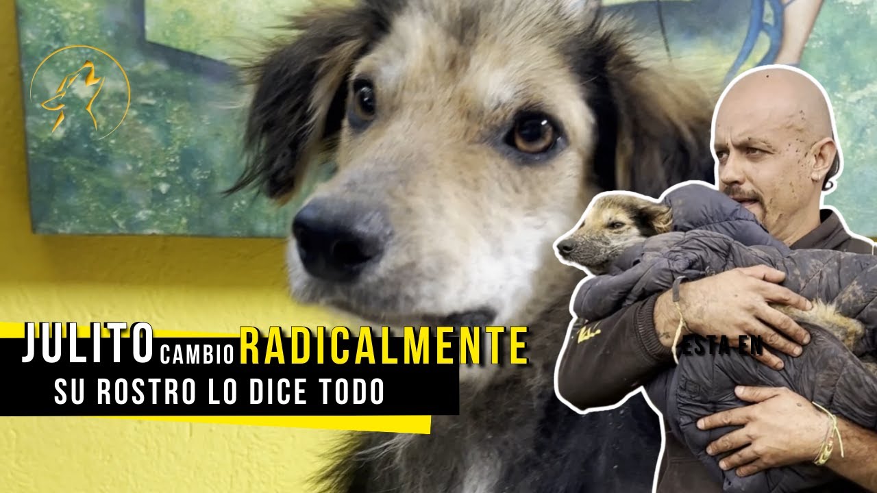 JULITO JARAMILLO - YouTube