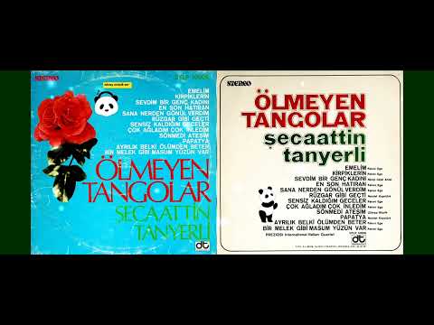 Şecaattin Tanyerli - Rüya Gibi Geçti (Original LP Song Analog Remastered 1974) 4K