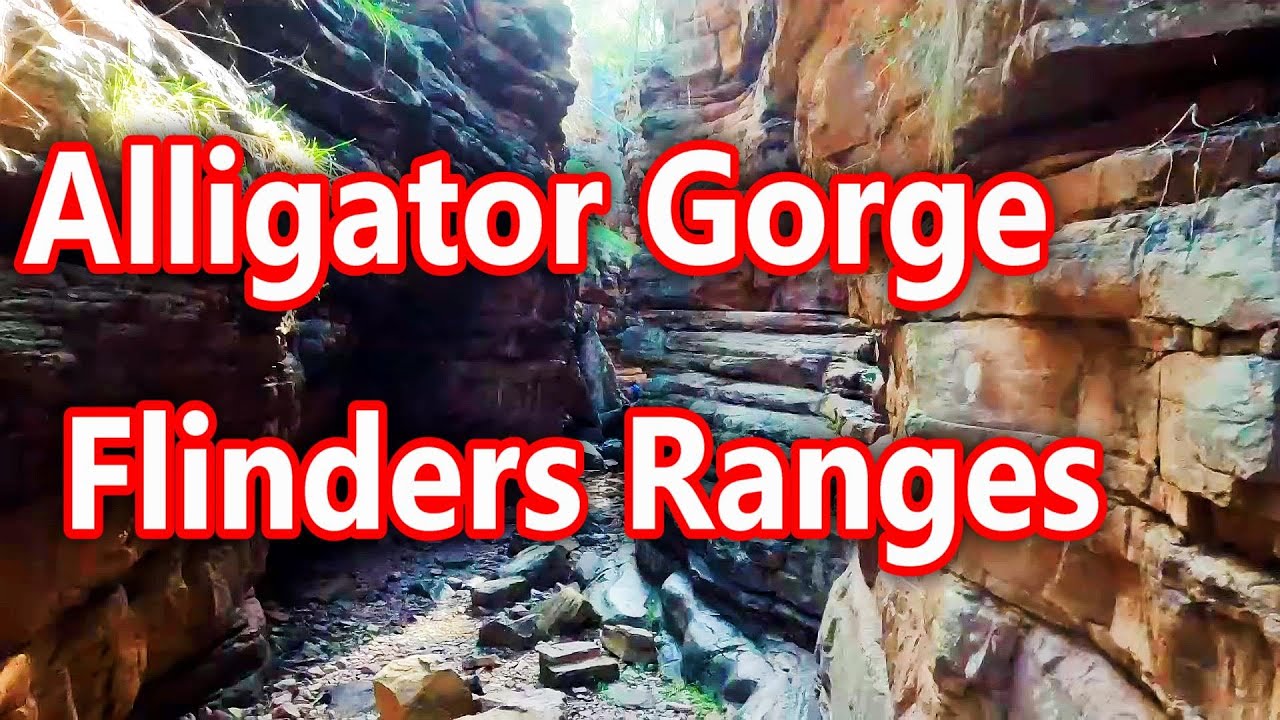 Alligator Gorge, Mount Remarkable Nat Park-South Flinders Ranges - YouTube