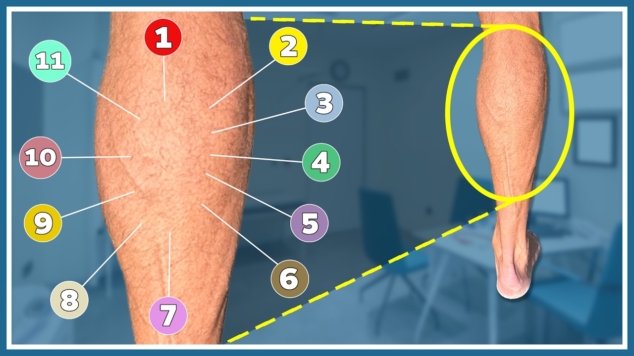 Your Calf pain explained - the 11 most common causes - YouTube
