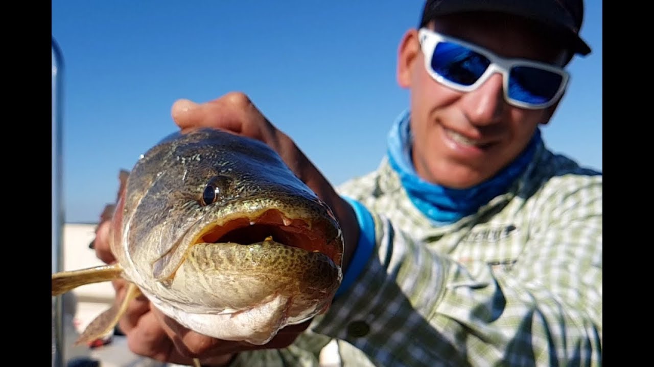 Matías Jalil Fishing Show - Cap. 1: "Pesca en un día libre" - YouTube