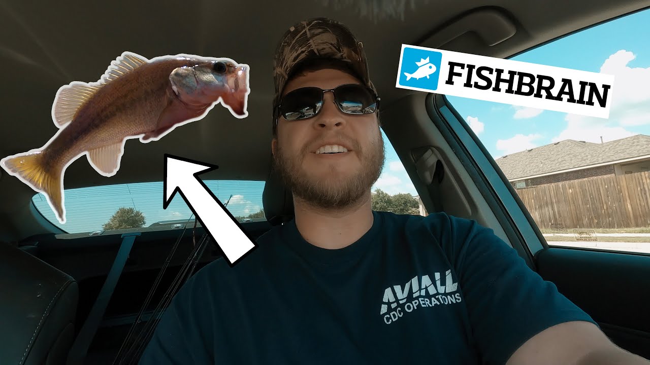 Using my PHONE to catch FISH (Fishbrain Challenge) - YouTube
