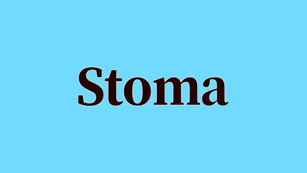Stoma Pronunciation and Meaning - YouTube