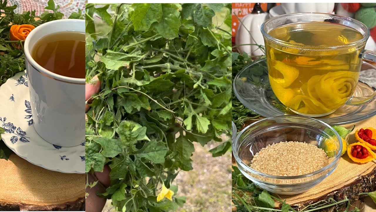 How to make Jamaican Cerasee Tea - YouTube