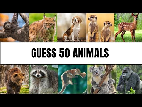 Guess 50 animals by their pictures || I bet you can't get 50 score ||# ...