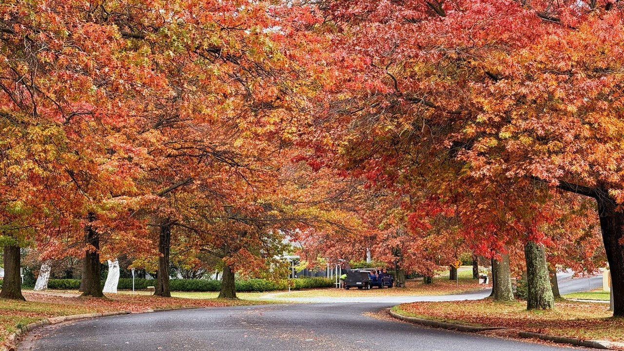 Snapshot - Amazing Canberra - YouTube