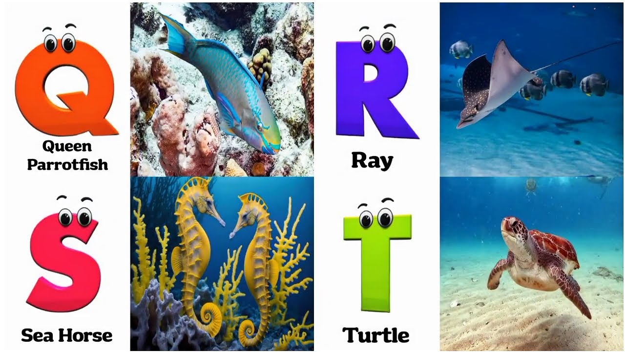 ABC Song | Sea Animals ABC Song | Phonics for Kids, Baby Alphabet ...