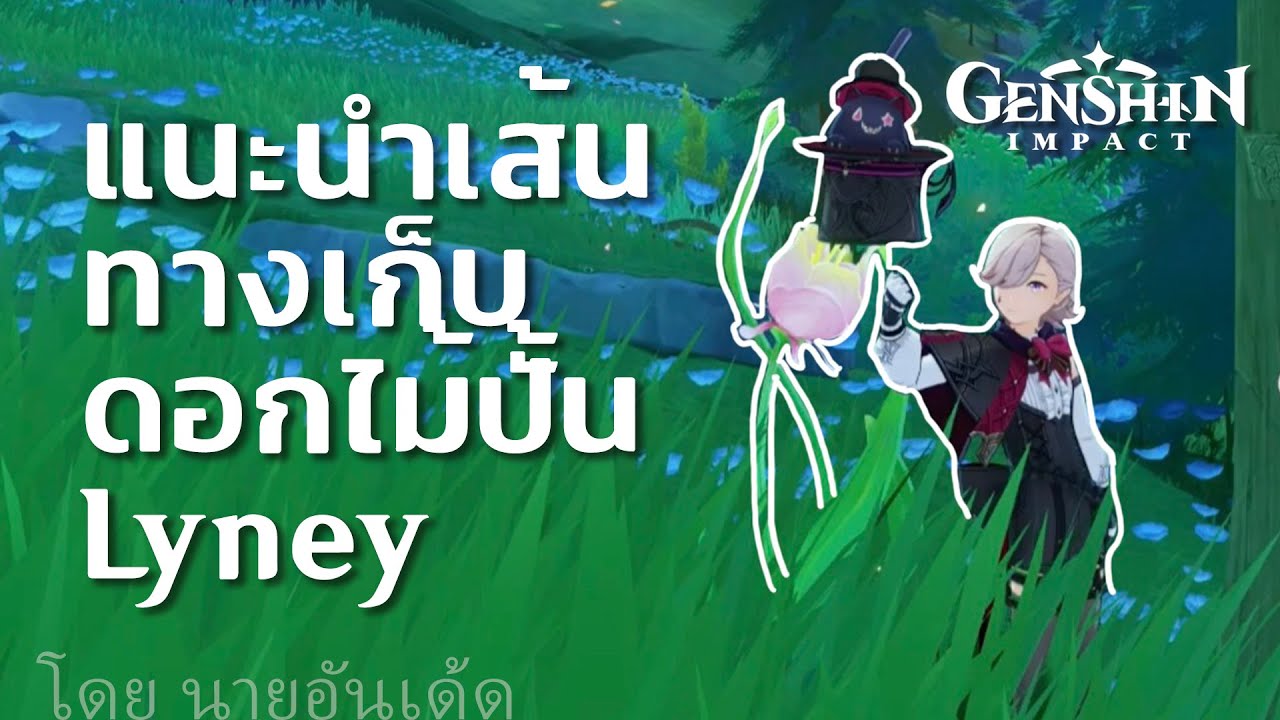 วิ่งเก็บ ดอกกุหลาบสีรุ้ง Rainbow Rose ที่ต้องใช้ ปั้นตัวละคร Lyney ทั้ง ...
