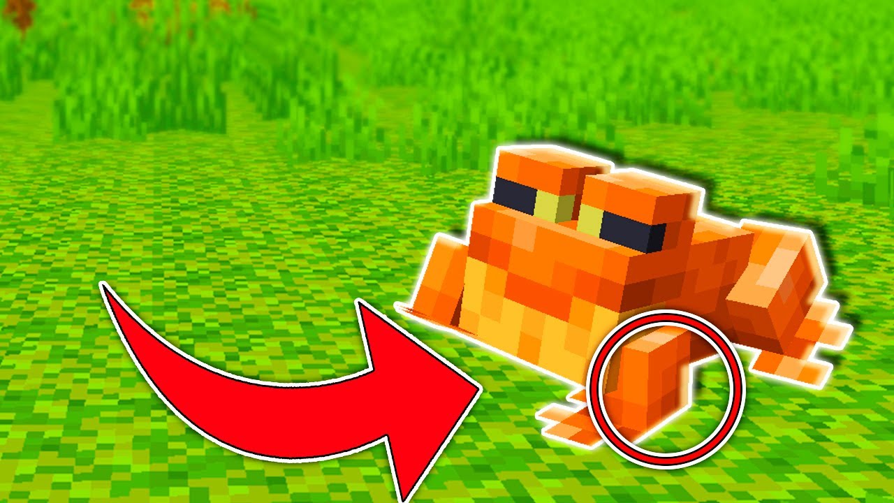 POR QUE O SAPO É O MELHOR MOB ADICIONADO EM 10 ANOS DE MINECRAFT ...