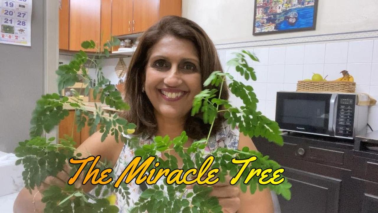 The Miracle Tree - YouTube