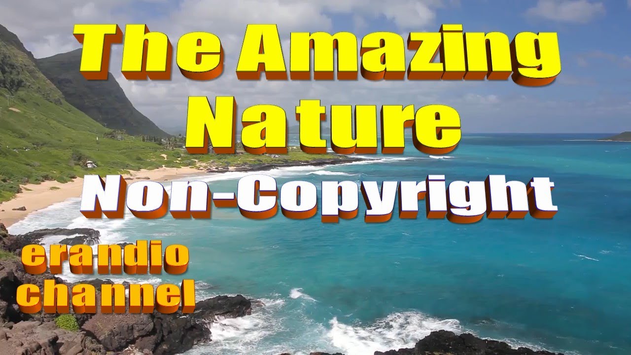 Non-Copyright / The Amazing Nature For Free background / - YouTube