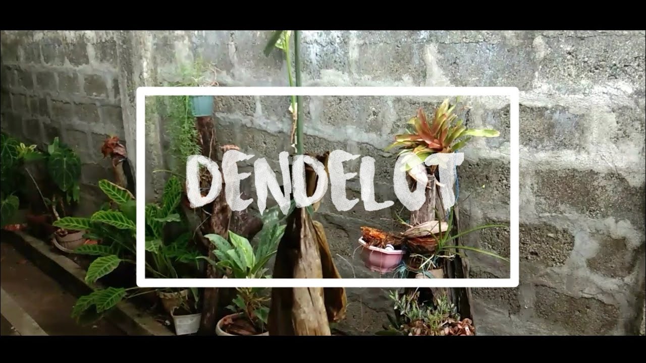 DENDELOT | INANDILA | BINALLAY they call it. - YouTube