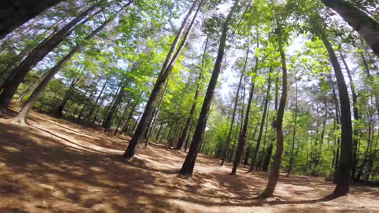 Socastee Disc Golf Course Tour - YouTube
