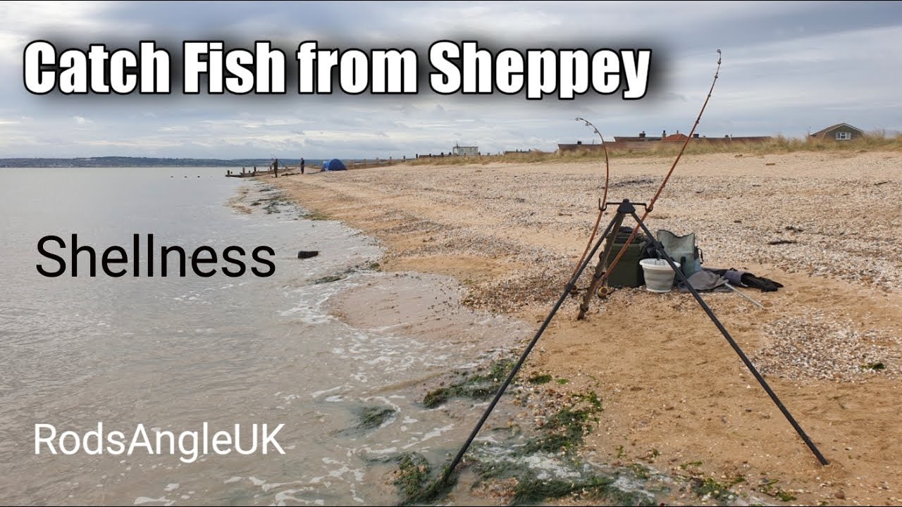 Catch Fish from Sheppey: SHELLNESS - YouTube