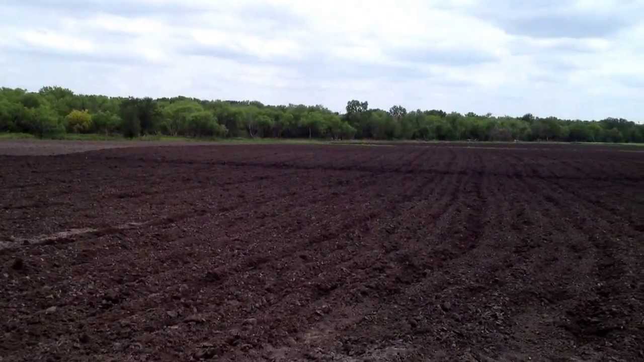 Tiff 419 Bermuda Grass Farming - YouTube