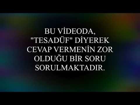 Avuç içindeki mucize