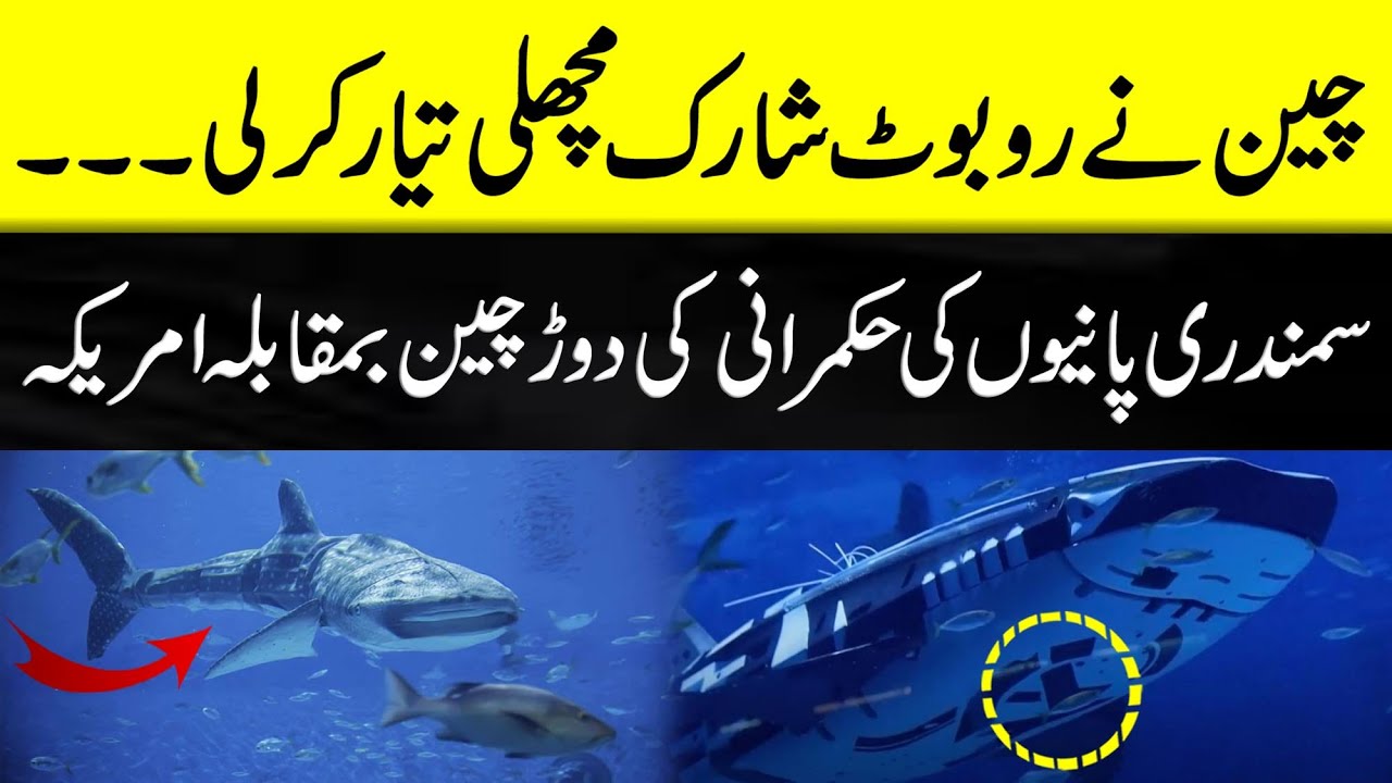 World’s first intelligent robotic whale shark developed in China, swims ...