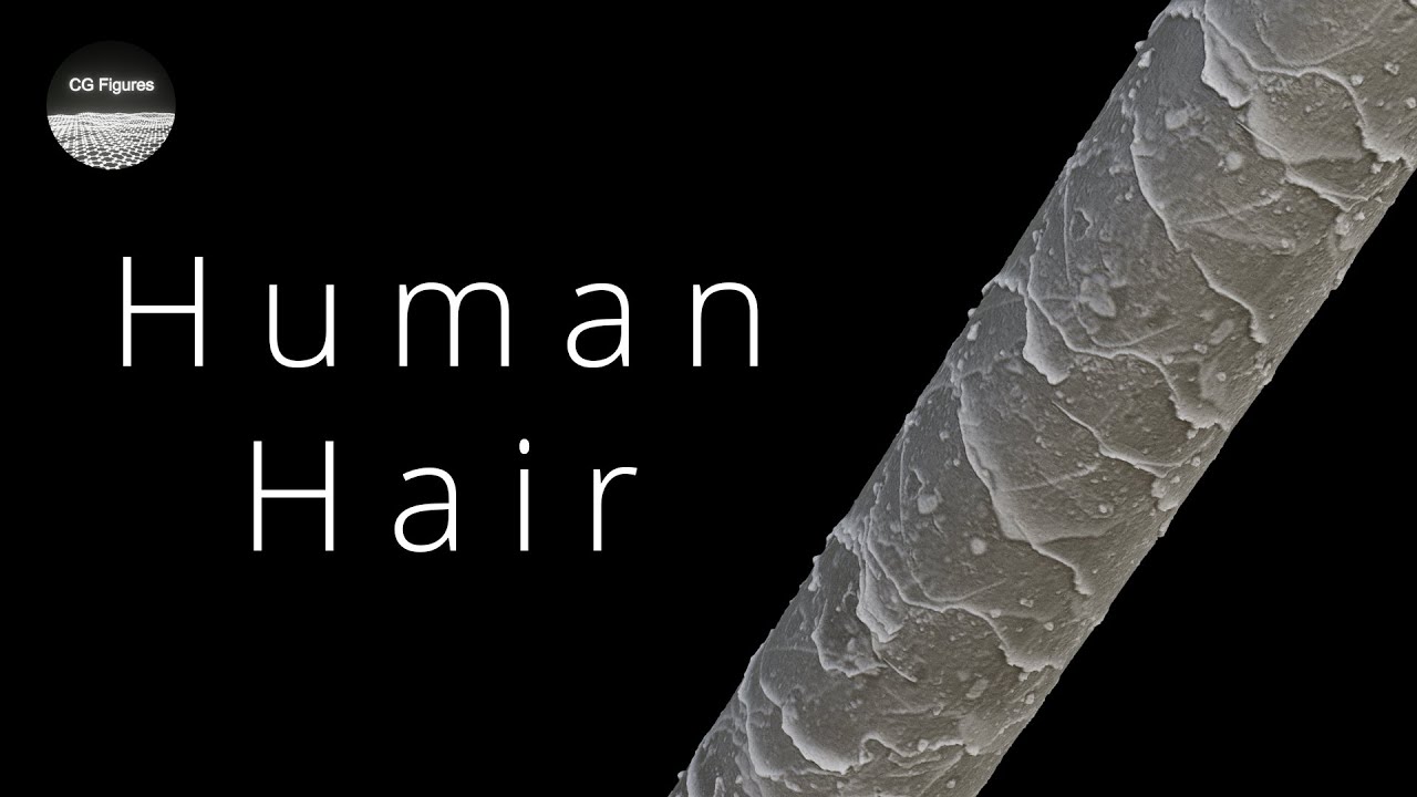 How to Make SEM-Imaged Human Hair in Blender - YouTube