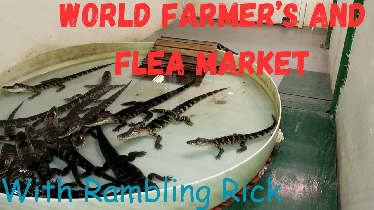 Auburndale World Farmer's and Flea Market - YouTube