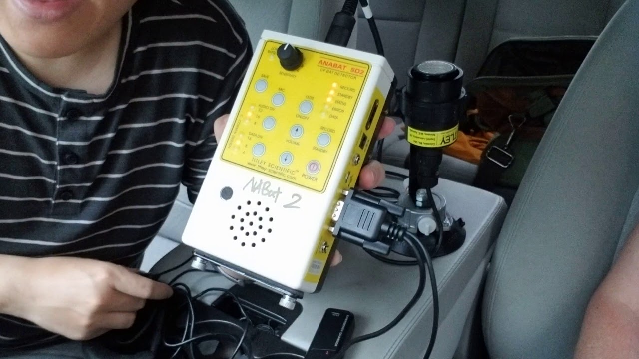 Using AnaBat SD2 for NABat mobile transect surveys - YouTube