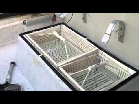 Live bait well - YouTube