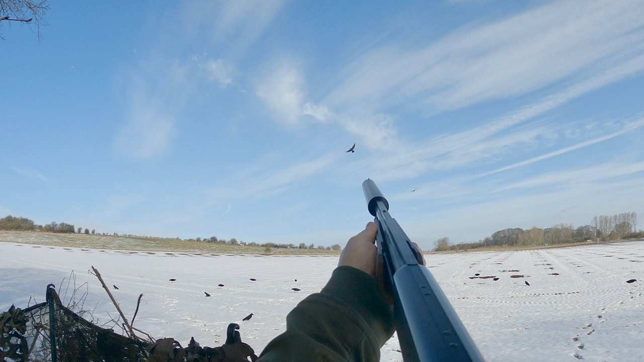 Crow Shooting Using .410 Hushpowers | Mossberg Pump-action .410 - YouTube