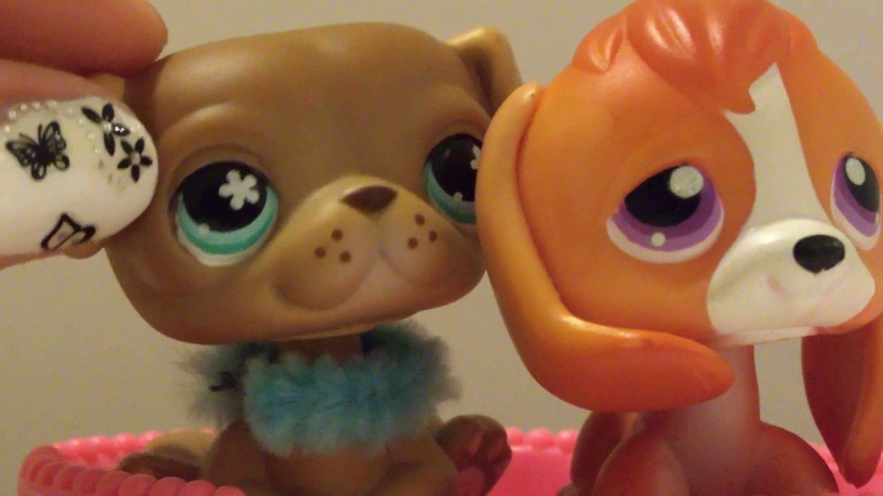 LPS Different Is Beautiful (short film) - YouTube