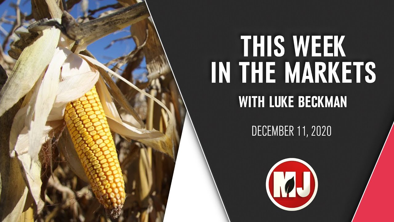 Market Analysis | Luke Beckman | December 11, 2020 - YouTube