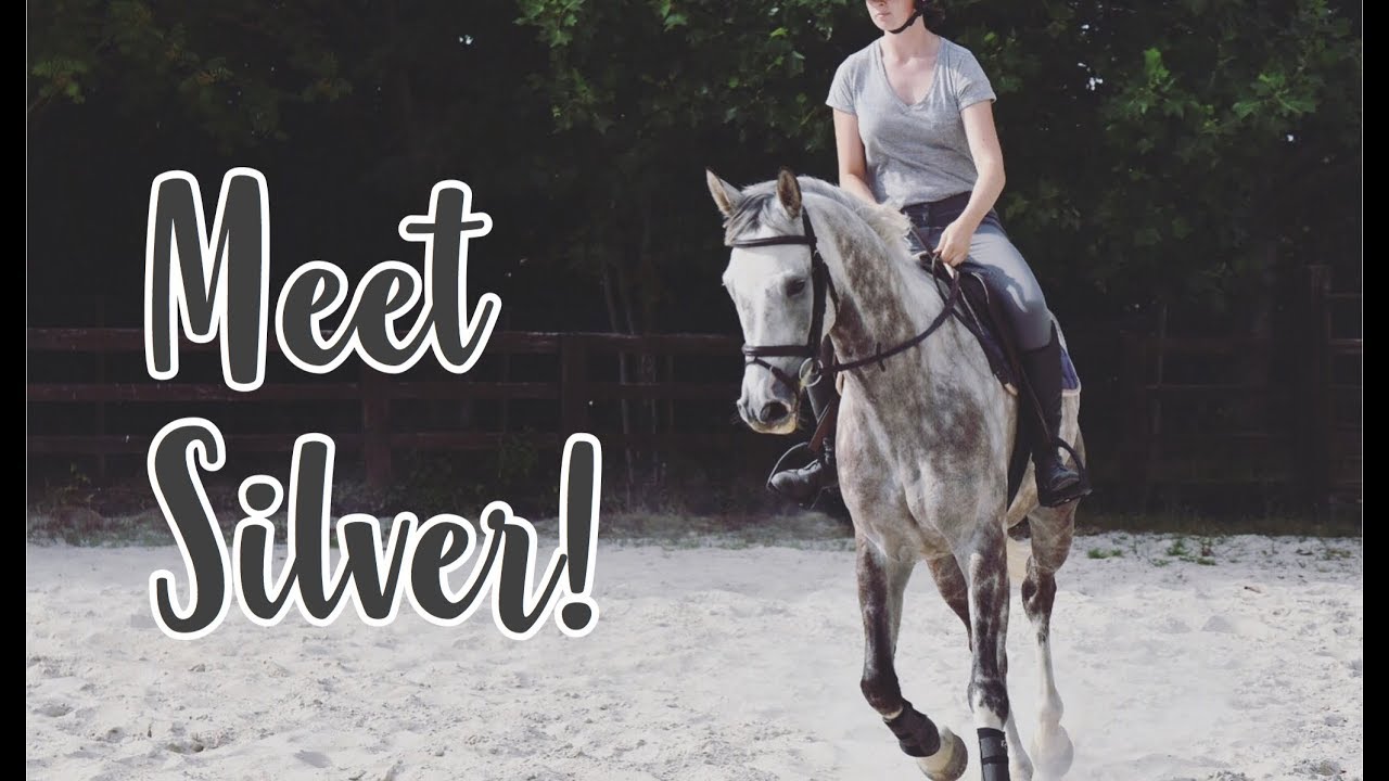 MEET SILVER! // National Training Clinic Vlog 1 - YouTube