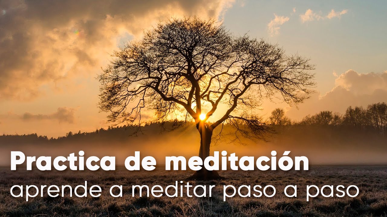 Cómo aprender a meditar por primera vez en solo 10 minutos | guía ...