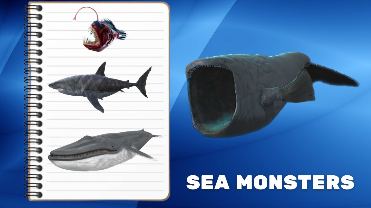 Making SEA MONSTERS book | Bloop - YouTube