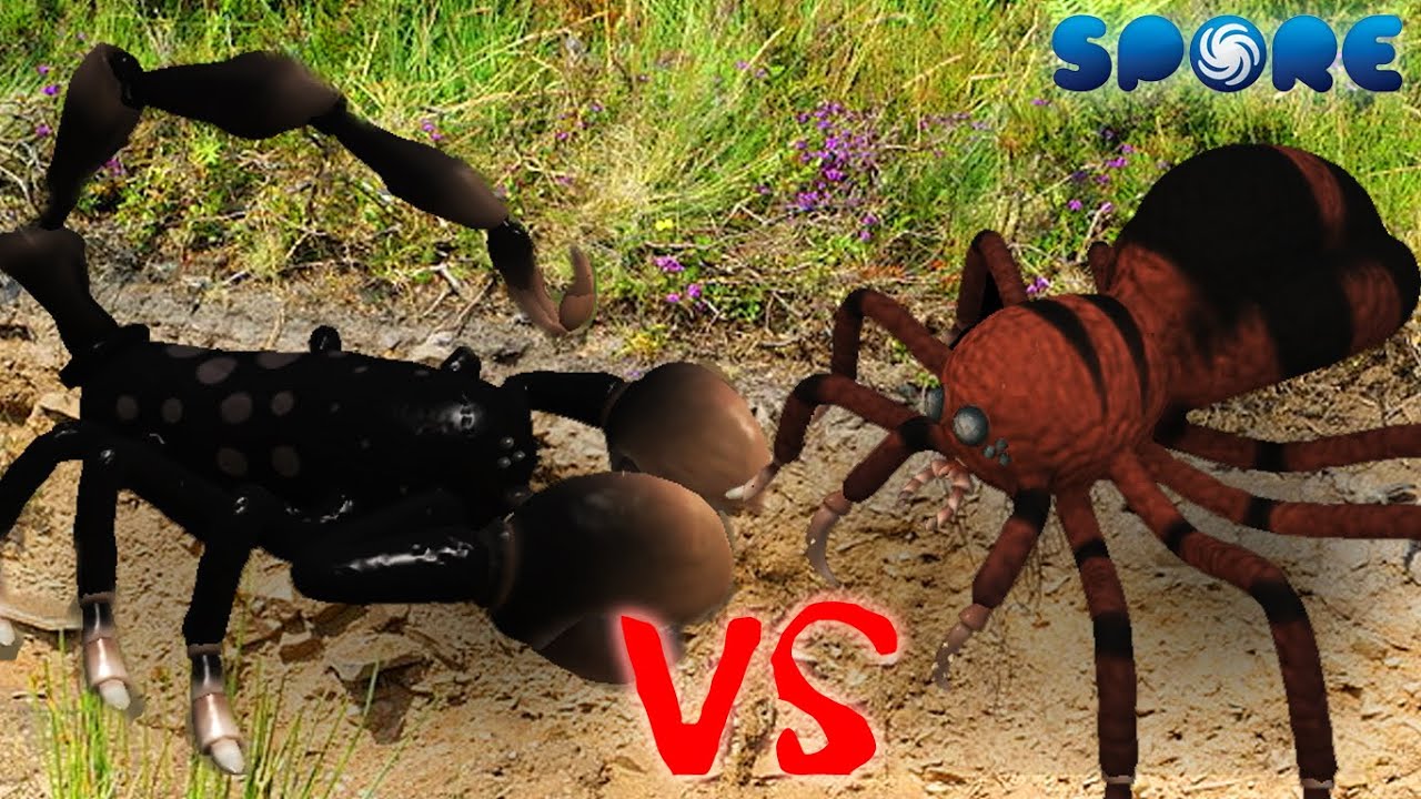 Scorpion vs Spider | Insect Warzone | SPORE - YouTube