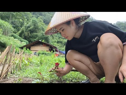 Life in Rural Vietnam: A Rainy Day Caring for the Garden and Animals | Mountain Village Lifestyle