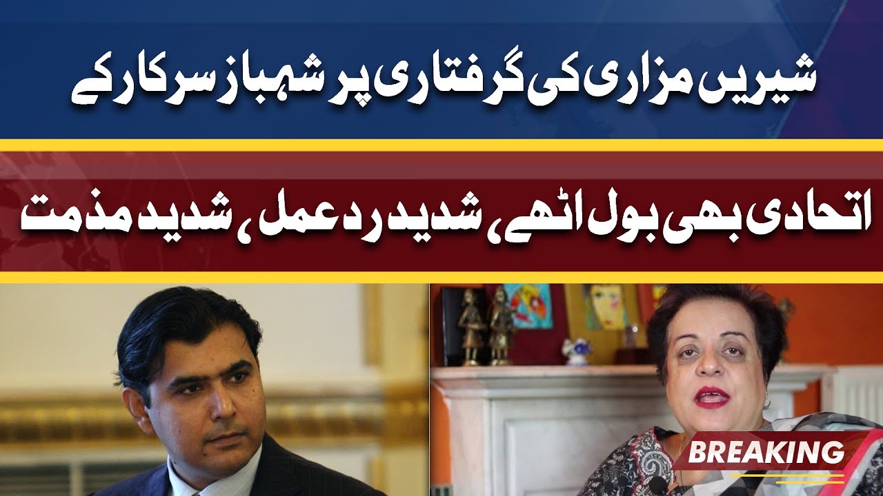 PP Leader Mustafa Nawaz Khokhar condemns Shireen Mazari arrest - YouTube