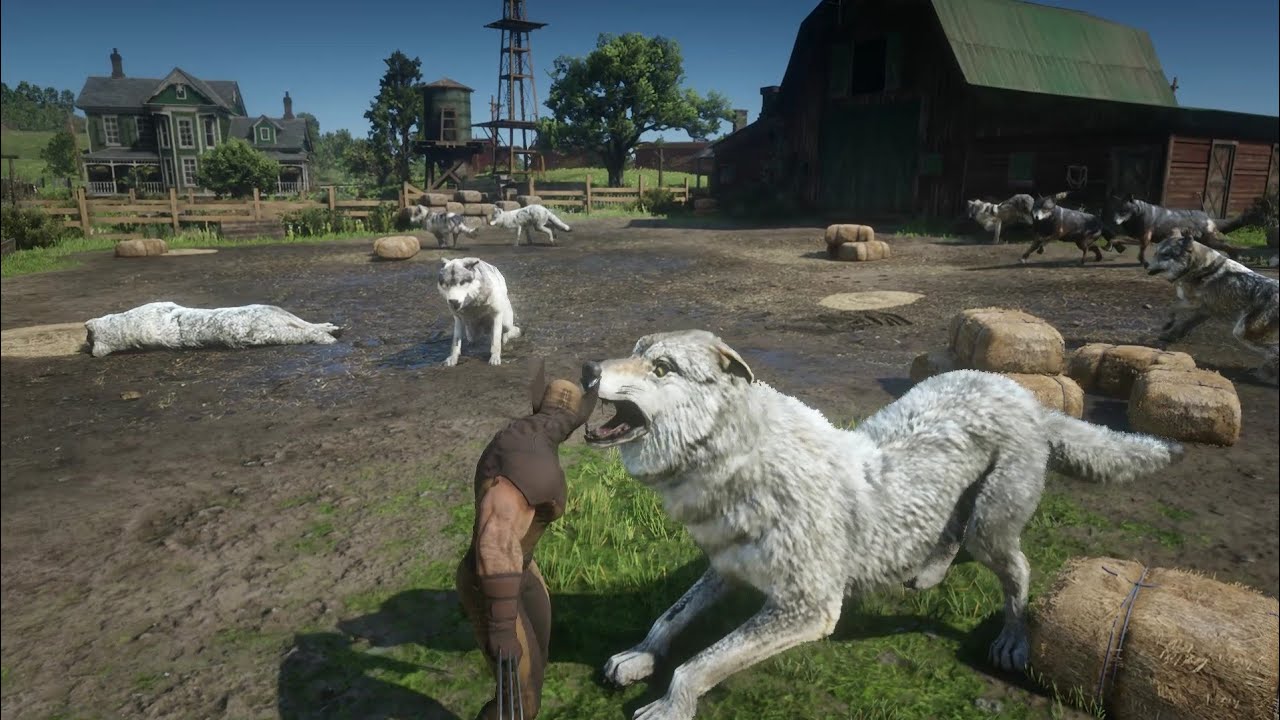 RDR2 - Hunting wolves in the farm with Wolverine - YouTube