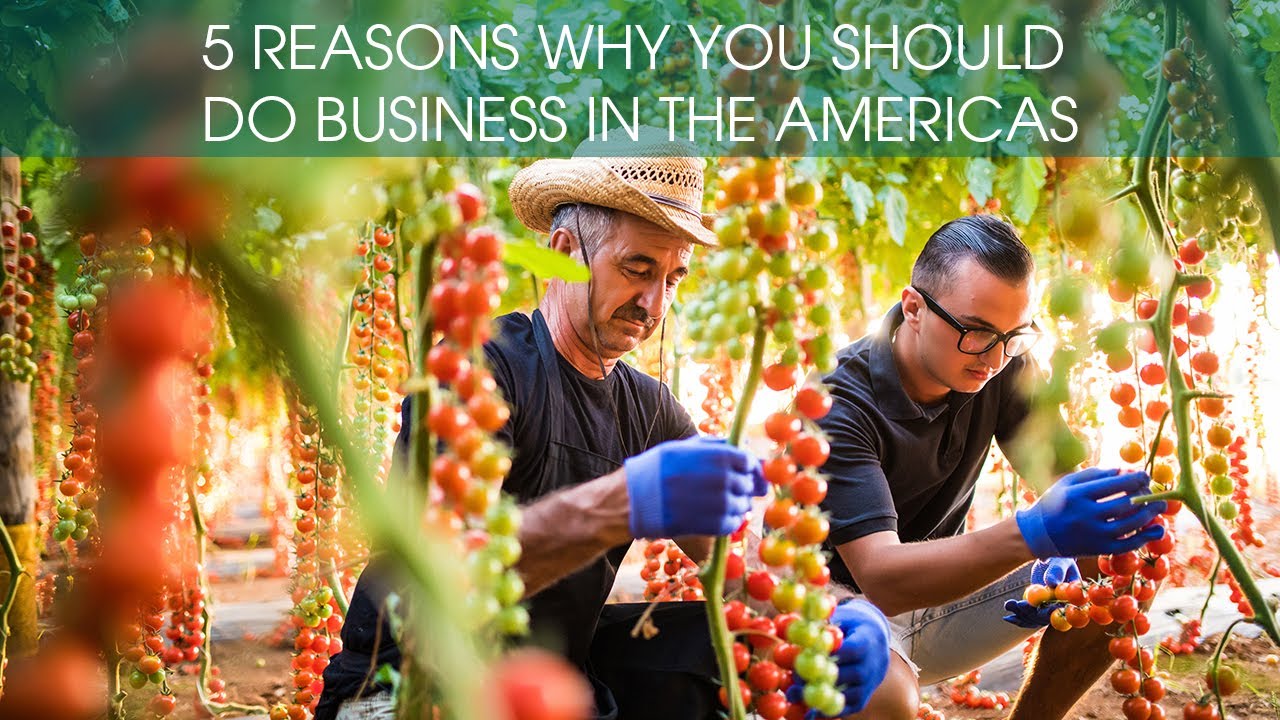 5 reasons why you should do business in The Americas - YouTube
