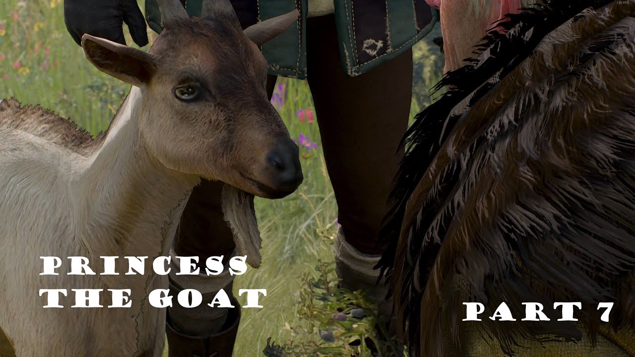 Princess the Goat! - #Witcher3: Wild Hunt - Full Playthrough, Part 7 ...