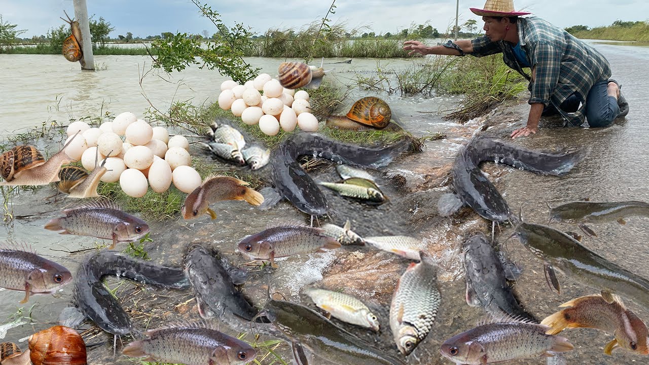 Amazing Fishing at at the road on flooding - Amazing Fisher Catching A ...