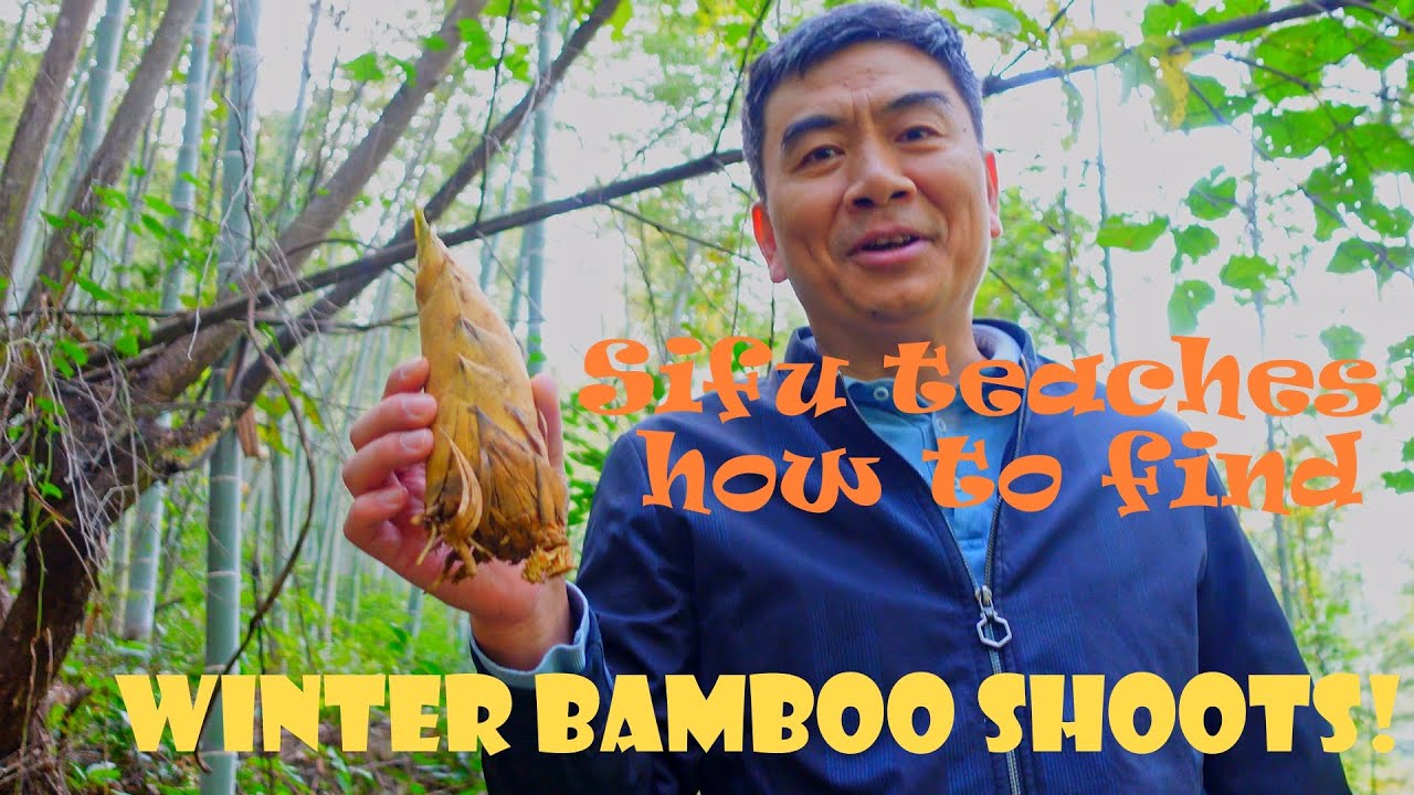 1st Time Digging Bamboo Shoots, How To Locate Them By Bamboo Master ...